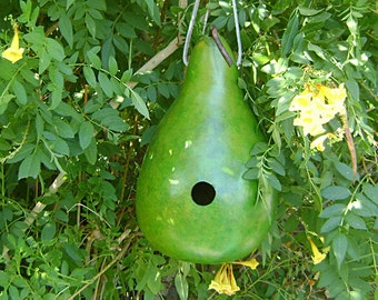 Gourd bird house | Etsy