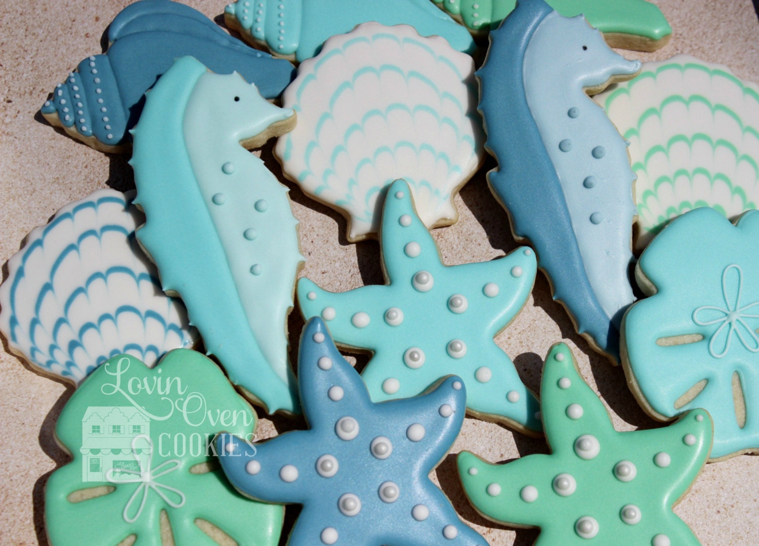Under the Sea Theme Decorated Sugar Cookies 1 Dozen Shells