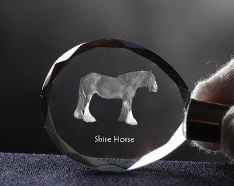 Shire horses | Etsy