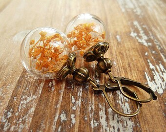 Glass ear plugs | Etsy