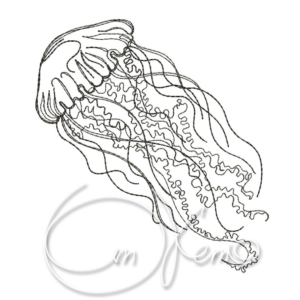 Sea Nettle Jellyfish Drawing Sketch Coloring Page