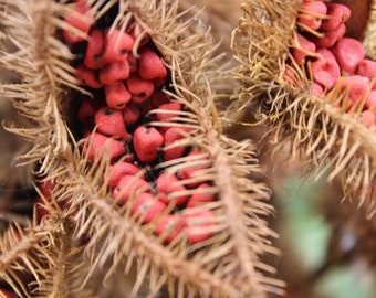 Items similar to Moab Dessert - Travel Photography - Teepee on Etsy