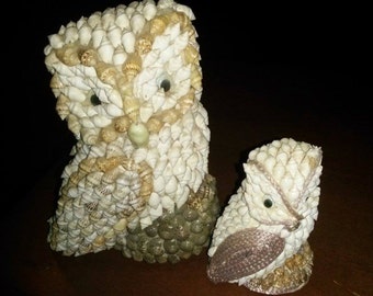 Baby conch shell | Etsy