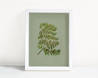 Fern print | Etsy
