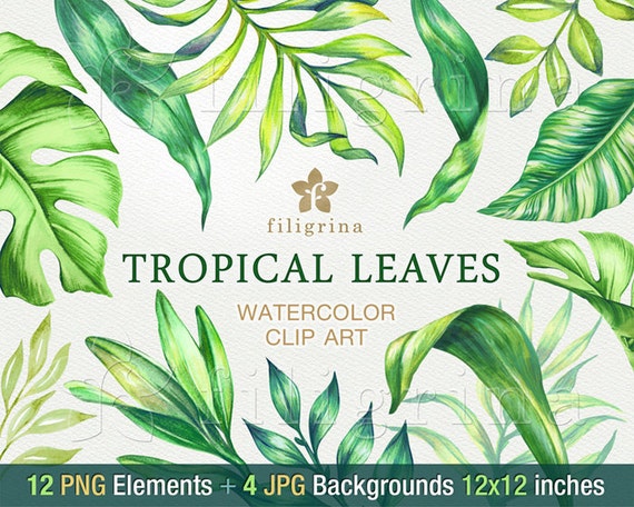 Tropical Leaves WATERCOLOR Clip Art. Fresh foliage jungle