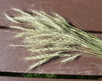 Dried grass | Etsy