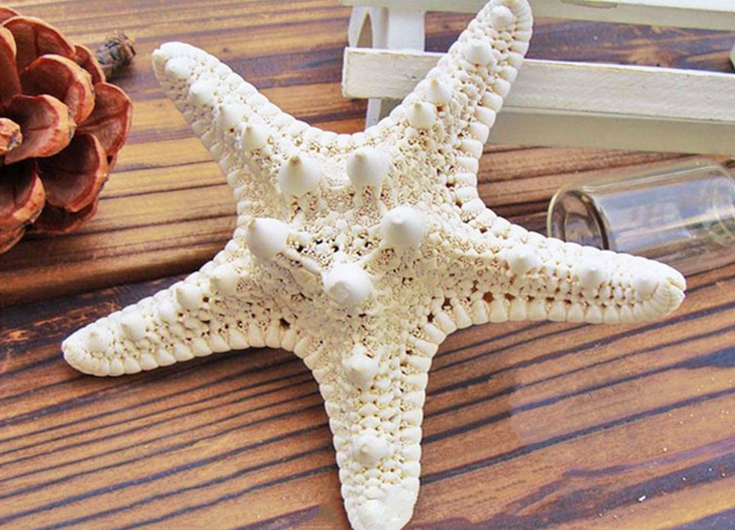 Real Starfish 3 inch Natural Dried Star fish Beach wedding