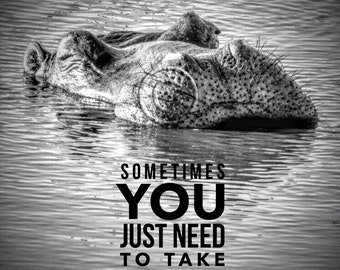 Hippo quote | Etsy