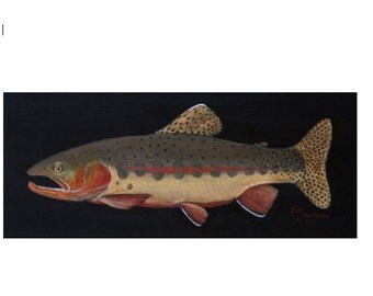 Golden trout | Etsy