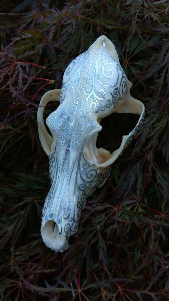 Fey Magic Coyote Skull