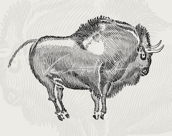Buffalo stencil | Etsy