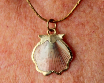 Real shell necklace | Etsy