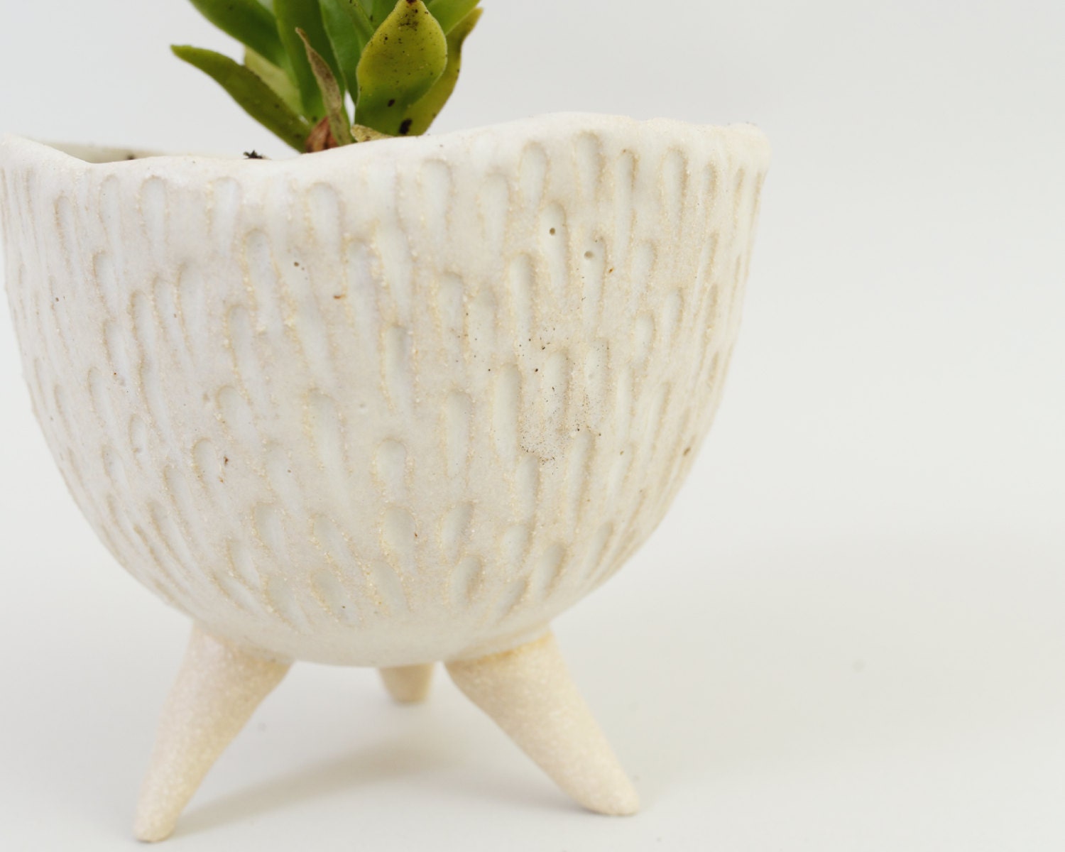 Textured White Modern Planter Handmade Ceramic Planter