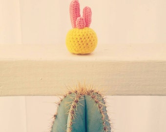 Knit cactus | Etsy