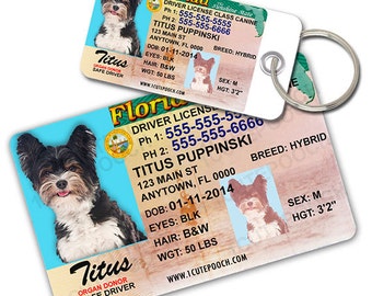 Dog license tag | Etsy
