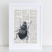 Dictionary Art BEETLE BUG vintage dictionary by ElsieVonCraft