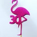 Pink flamingo 30th thirty glitter birthday large cake toppers