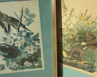 Large bird painting | Etsy