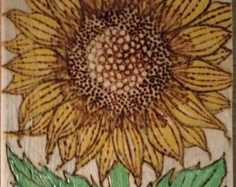 Set of 3 Crocheted Sunflower with leaves Flower Applique