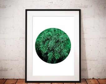 Fir tree print | Etsy