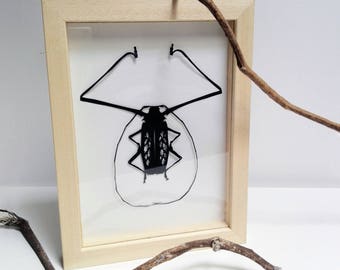 Insect shadow box | Etsy