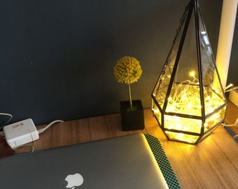 Terrarium lamp | Etsy