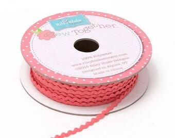 MINI Ric Rac 1/8ths inch 10 Color Bundle 2 yds. of each 20