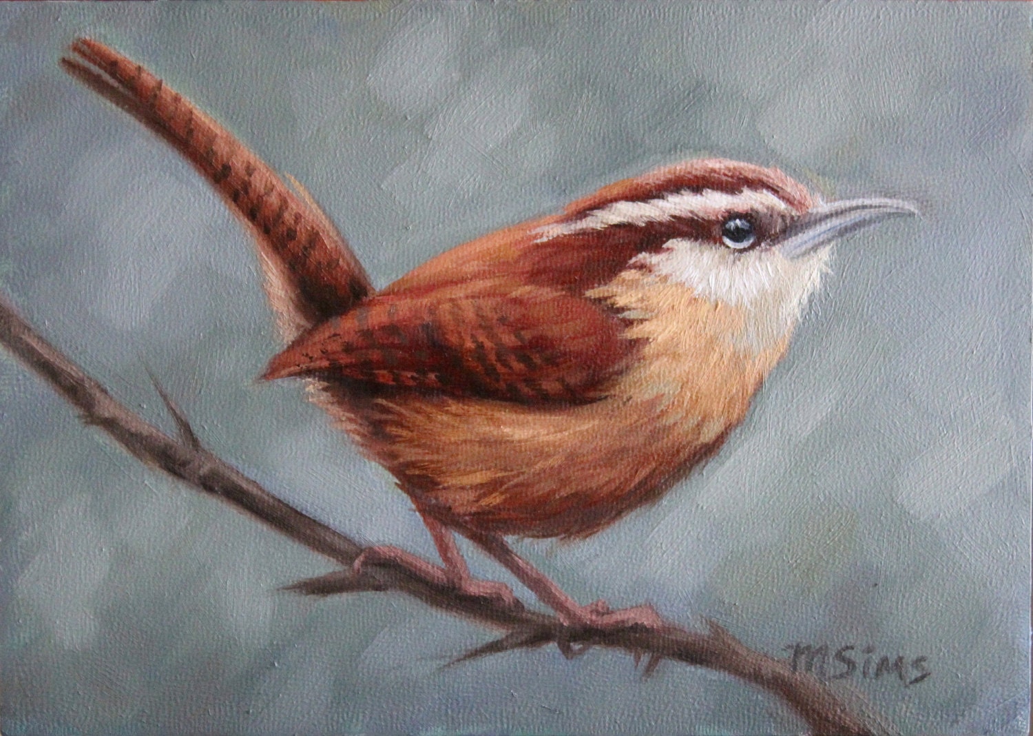 Carolina wren Wren bird painting wren print Open