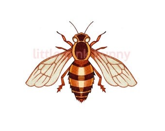 Busy bee clip art | Etsy