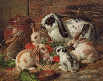 Vintage rabbit print | Etsy