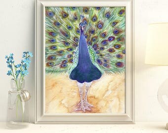 Peacock feather art | Etsy