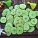 Pirarucu Arapaima Fish Scales 100% Natural Fish by NatureBeads