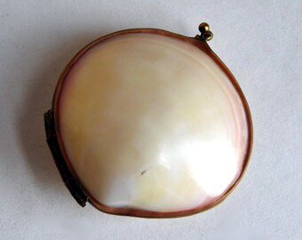 Shell coin purse | Etsy