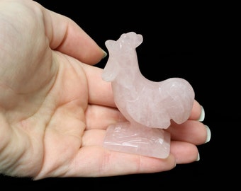 Polish chicken | Etsy