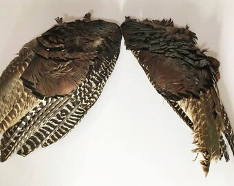 Wild turkey feathers | Etsy