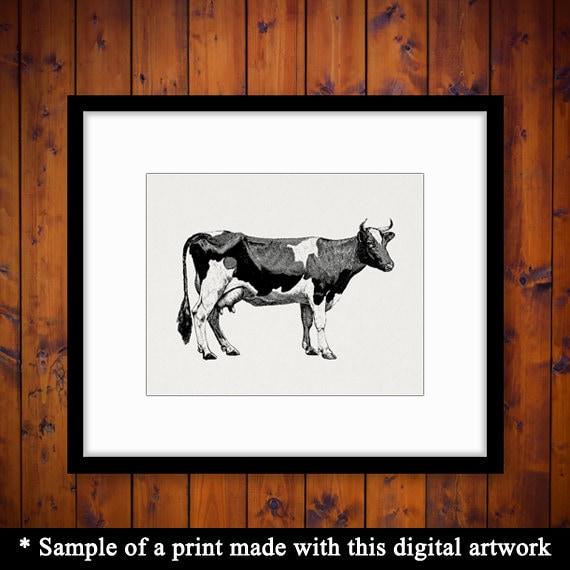 Digital Graphic Cow Printable Farm Animal by VintageRetroAntique