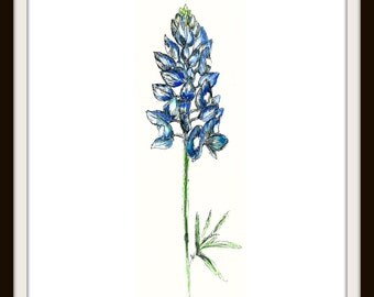 Bluebonnet printable | Etsy
