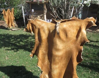 Deer hide | Etsy