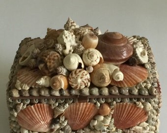 Seashell box | Etsy
