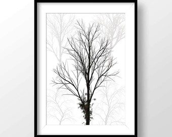 Tree poster | Etsy