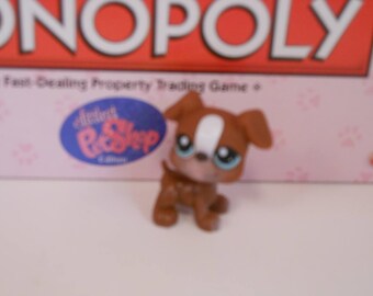 Littlest pet shop | Etsy