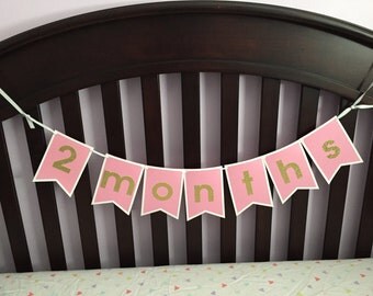 Baby month signs | Etsy