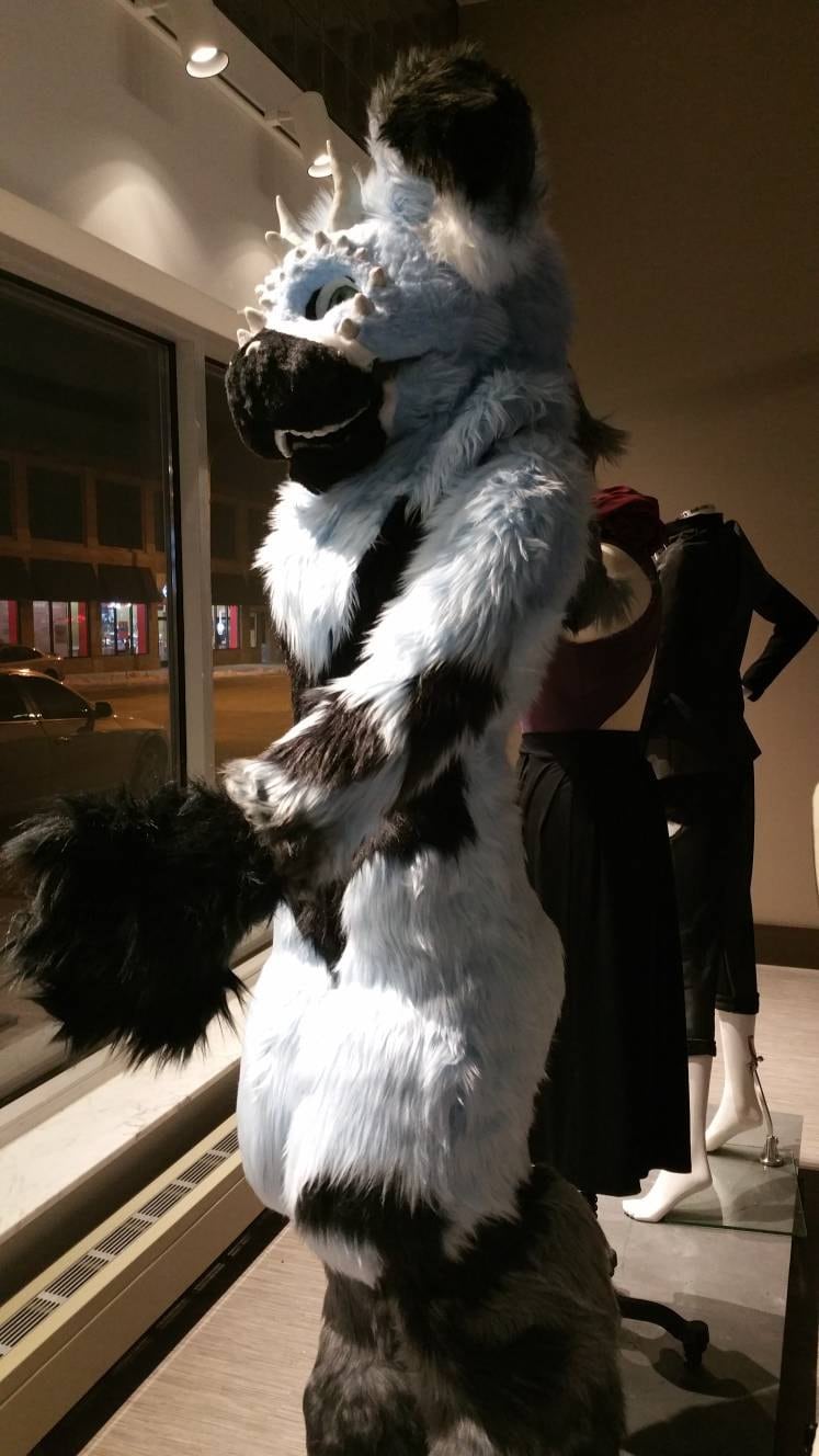 Private listing FULL FURSUIT quad. 5 payments of 500. Total