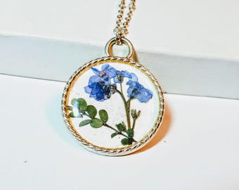 Alaska forget me not | Etsy