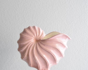 Conch shell planter | Etsy