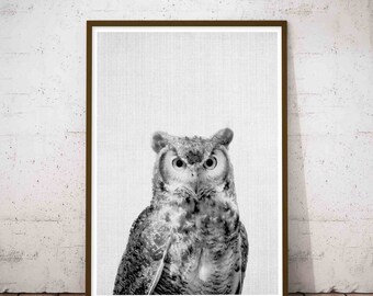 Owl print | Etsy