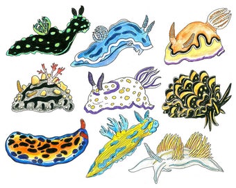 Nudibranch | Etsy