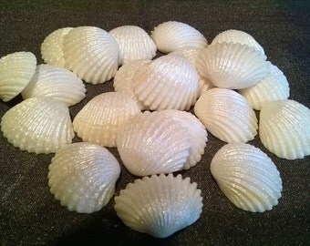 Essbare muscheln | Etsy