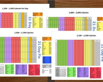 21 day fix planner | Etsy