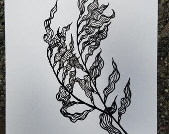 Seaweed drawing | Etsy
